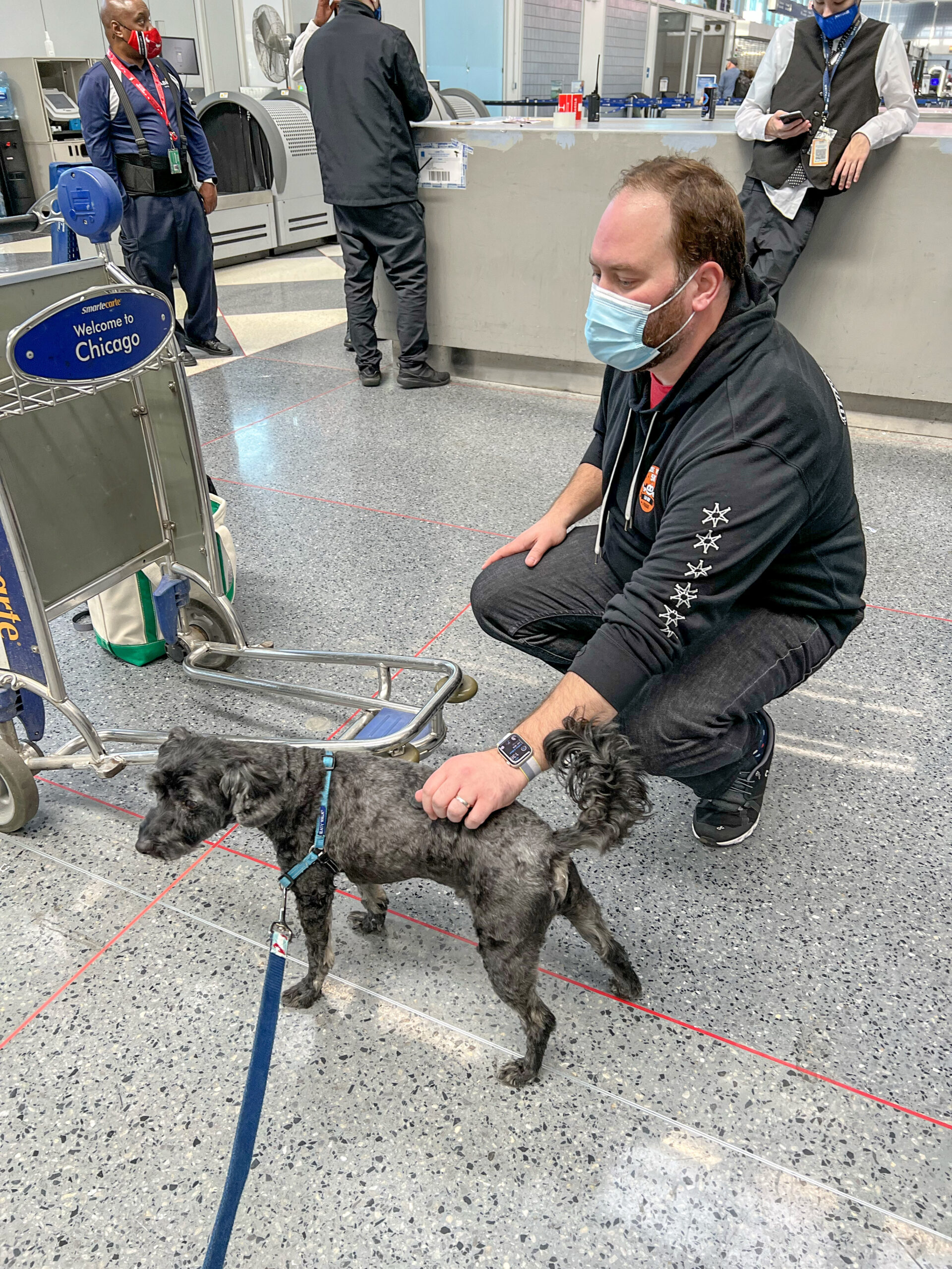 Flying a Dog to Barcelona - Hello from Nice!